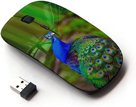 Amazon.com: KawaiiMouse [ Optical 2.4G Wireless Mouse ] Peacock Bird ...