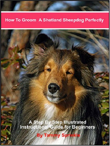 Buy How to Groom a Shetland Sheepdog Perfectly: A Step by Step ...