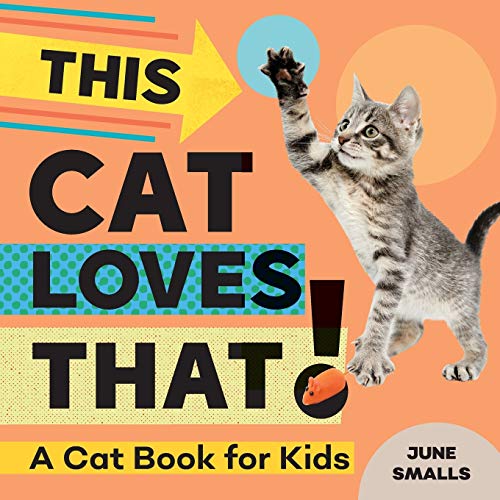 15 Cat Books for Preschoolers and Kindergarteners
