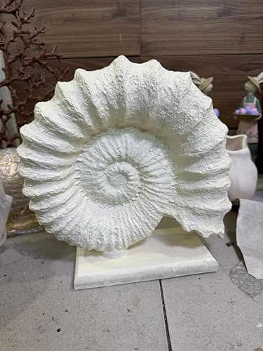 Amazon.com: Seashell Sculpture, Fossil Shell Statue, Shell Art Decor ...