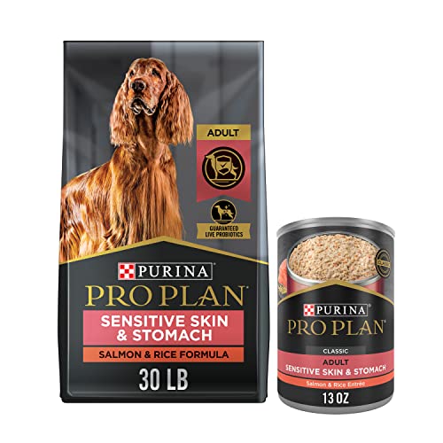 Amazon Best Sellers: Best Dog Food