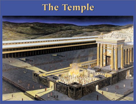 Chart-Temple Wall (Unlaminated): Rose Publishing: 9789901980024: Amazon ...