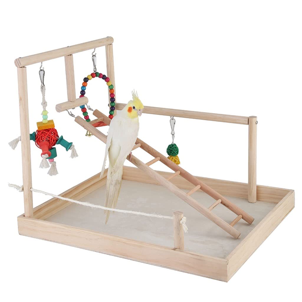 Buy DAPERCI Bird Cage Bird Cage Parrot Rack Wood Training Bird Rack ...