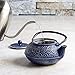 Primula Cast Iron 34-Ounce Teapot with Stainless Steel Infuser and ...
