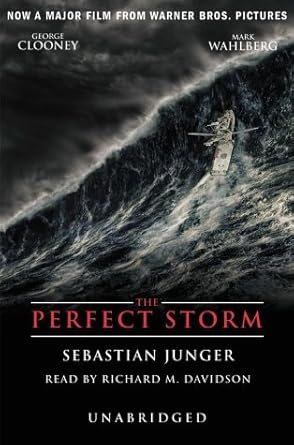 The Perfect Storm: Junger, Sebastian, Davidson, Richard M ...