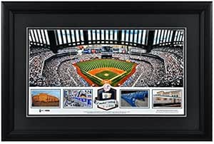 Amazon.com: Yankee Stadium New York Yankees Framed Stadium Panoramic ...