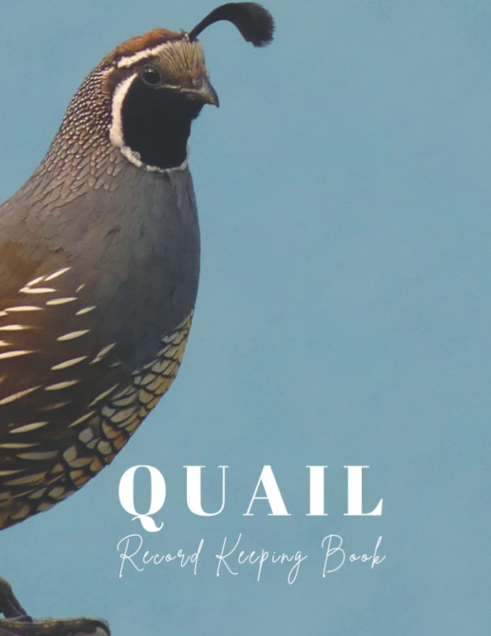 Buy Quail Record Keeping Book | Poultry Record Keeping Book | Farm ...