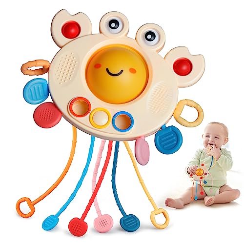 Spielzeug Fur Babys Ab 6 Monate