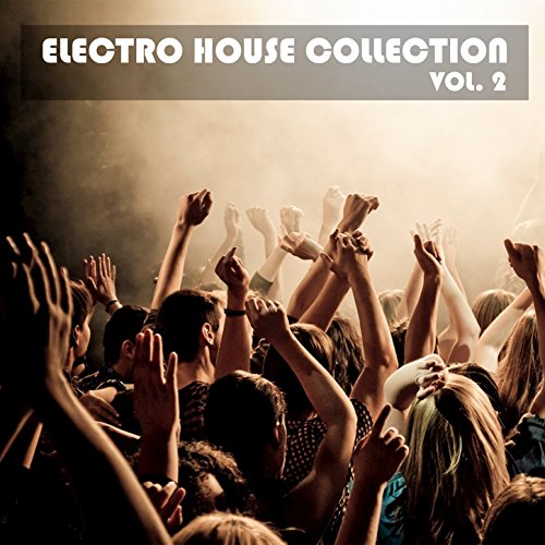 Amazon.co.jp: Electro House Collection, Vol. 2 : VARIOUS ARTISTS: デジタル ...