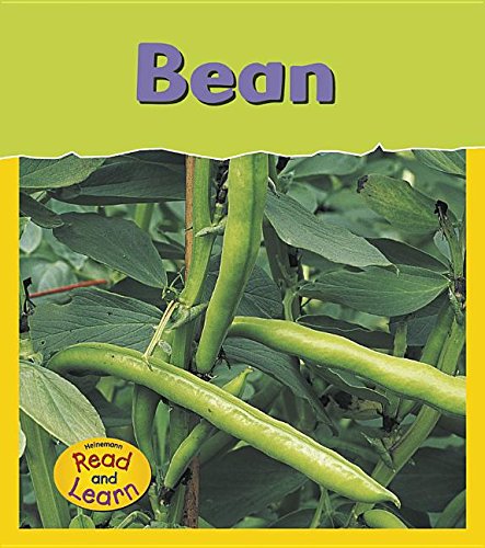 Amazon | Bean (LIFE CYCLES) | Spilsbury, Louise | Children's Books