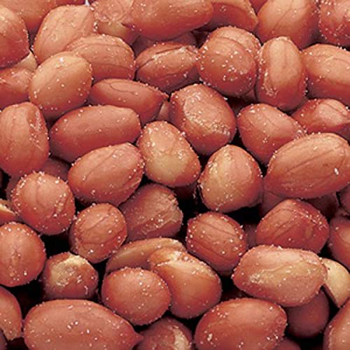 Amazon.com: Azar Nut Spanish Redskin Salted Oil Roasted Peanut, 2.38 ...