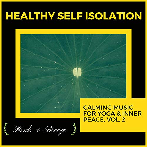 Amazon.co.jp: Healthy Self Isolation - Calming Music For Yoga & Inner ...