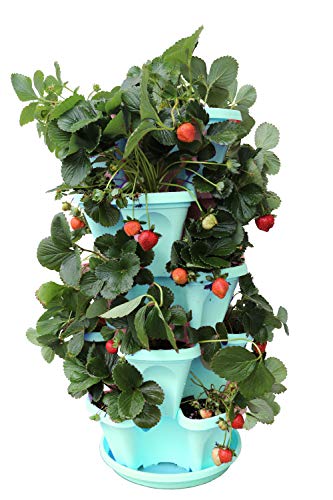 Find The Best Mr Stacky Strawberry Planter Reviews & Comparison - Katynel
