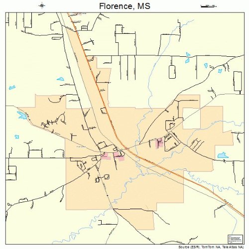 Large Street & Road Map of Florence, Mississippi MS - Printed poster ...