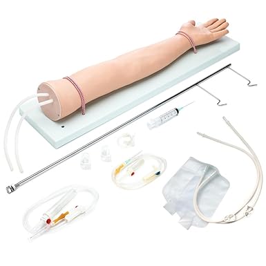 Injectable Training Arm Set Arm for phlebotomy injection transfusion ...