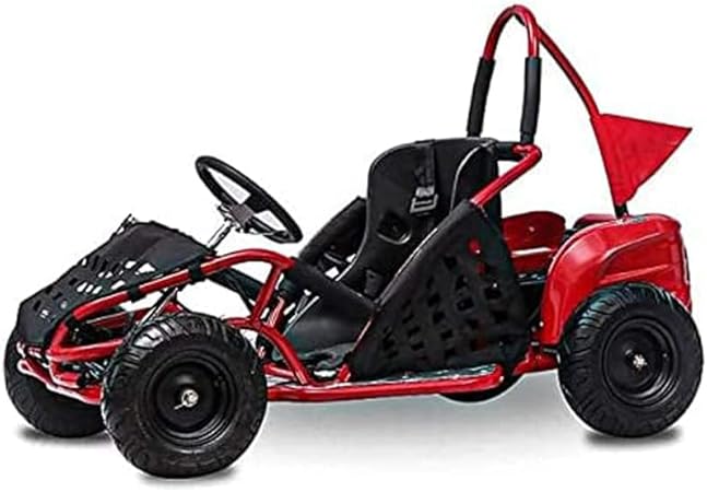 Amazon.com: FRP Baja-X 48V 1000W Brushless Electric Go Kart, 3-Speed ...