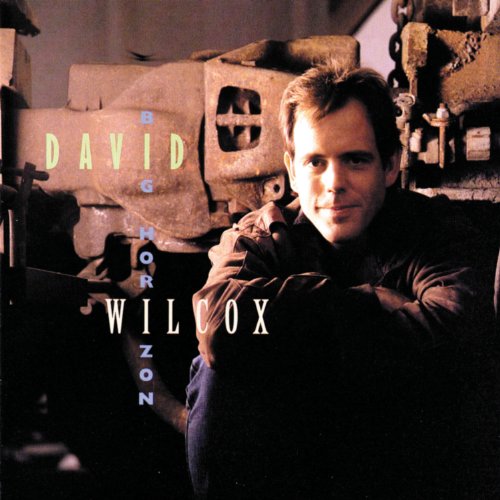 Amazon.com: Big Horizon : David Wilcox: Digital Music