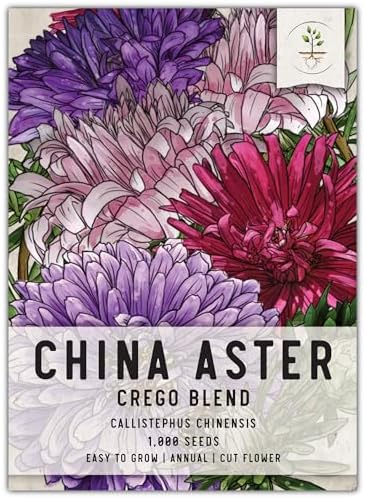 Amazon.com : David's Garden Seeds Flower Aster China Powderpuff Mix ...