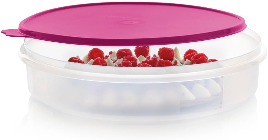Amazon.com: Tupperware Round Container 12" Light Grey Seal : Home & Kitchen