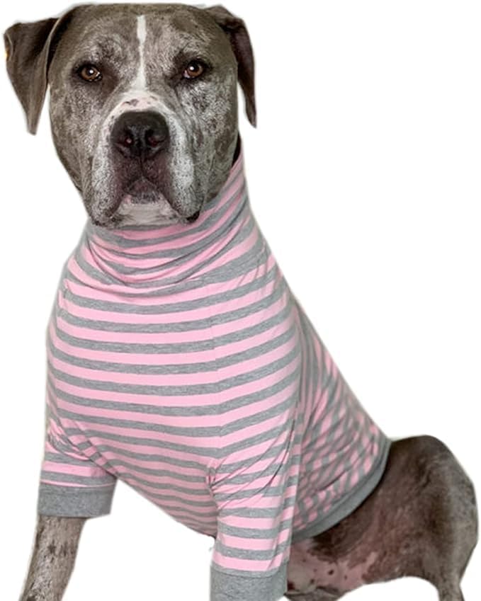 Amazon.com : Tooth & Honey Big Dog/Stripe Shirt/Pullover/Full Belly ...