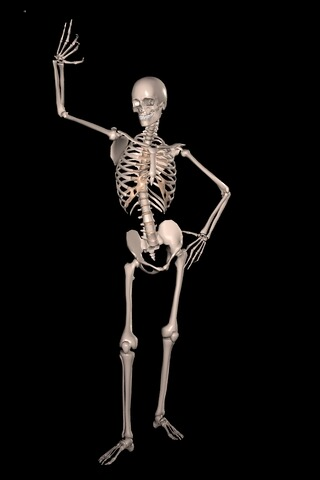360° Anatomy for Artists: Male Figure - App on Amazon Appstore