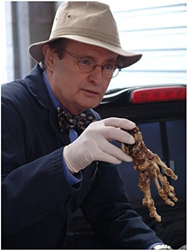 David McCallum 8x10 Color Photo NCIS Blue Jacket Beige Hat Glove ...