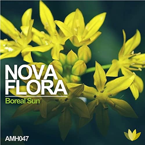 Flora Nova – Die 15 besten Produkte im Vergleich & Angebote ...