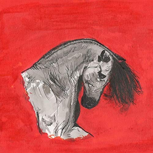 Amazon.com: Horse the Colour of Rust : Mara Jade: Digital Music