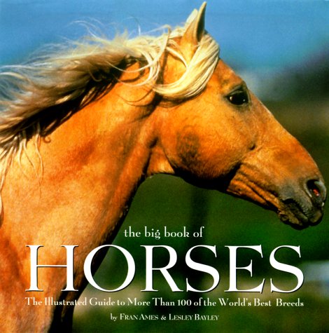 Amazon.com: The Big Book of Horses: The Illustrated Guide to More Than ...