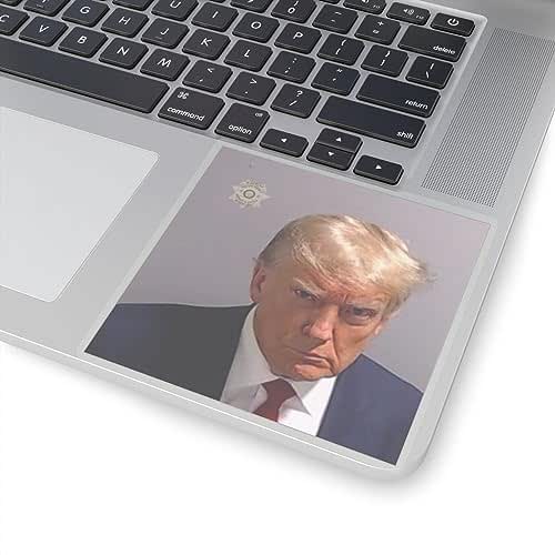 Amazon.com: Trump Mugshot Vinyl Sticker for water bottles, laptop ...