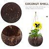 Amazon.com: GANAZONO Coconut Shell Flowerpot Orchid Pot Decor Flower ...