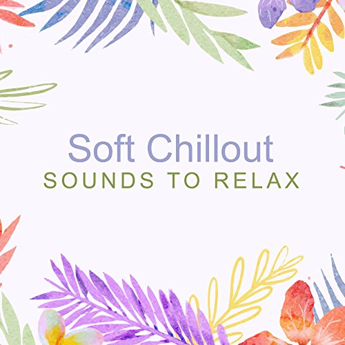Amazon.com: Soft Chillout Sounds to Relax : Acoustic Chill Out: Digital ...