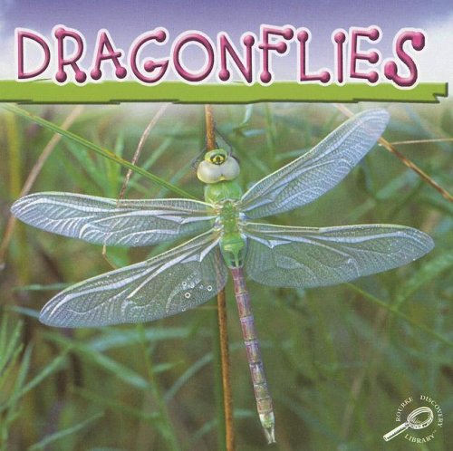 Dragonflies (Insects Discovery Library): Cooper, Jason: 9781595154262 ...
