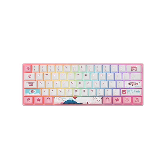 Buy Akko Tokyo 3061S RGB Mechanical Gaming Keyboard with 5 Pin Hot-Swap ...