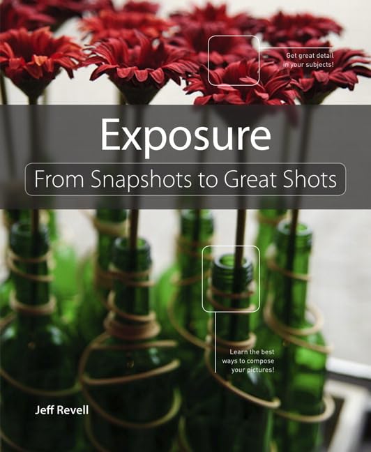 Amazon.com: Exposure: From Snapshots to Great Shots: 9780321741295 ...