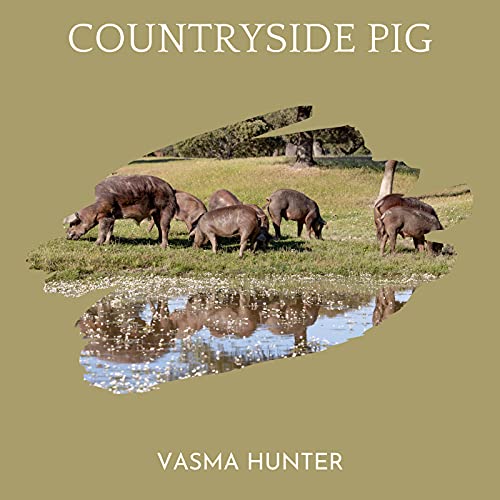 Riproduci Countryside Pig di Vasma Hunter su Amazon Music