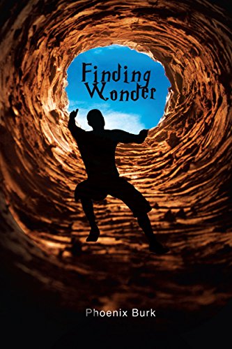 Finding Wonder eBook : Burk, Phoenix: Amazon.in: Kindle Store