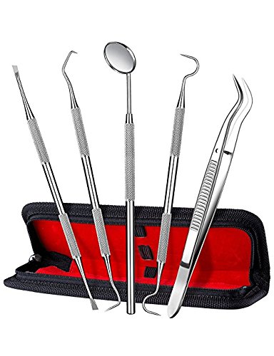 Amazon.com: Teeth care toolds Stainless Steel Clean Tooth Tools Dental ...