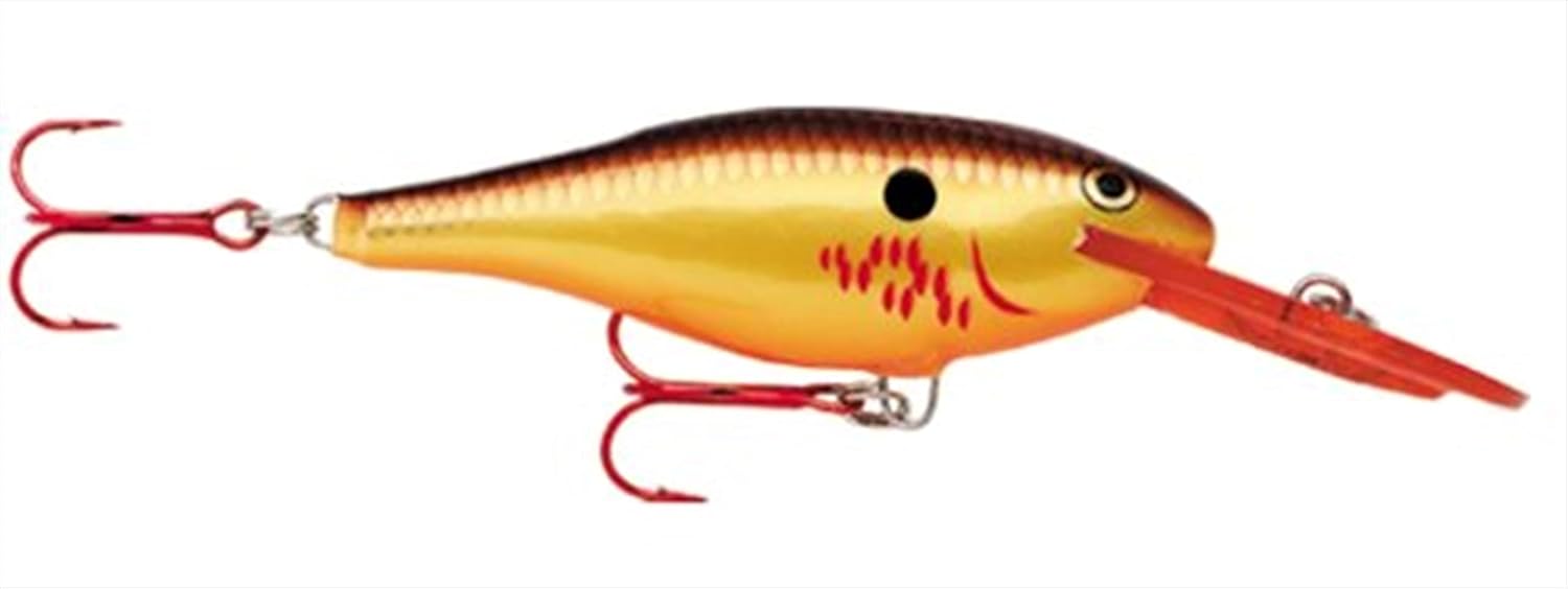 Amazon.com : Rapala Shad Rap 05 Fishing lure (Bleeding Copper Flash ...