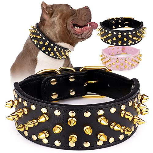 Pitbull Collars – The 15 best products compared - Wild Explained