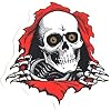 Amazon.com - Powell-Peralta Ripper Skateboard Sticker - Sticker Graphic ...
