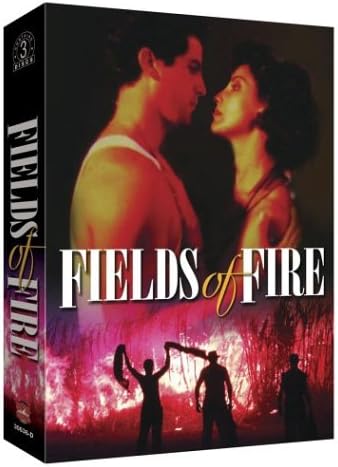Fields of Fire: Amazon.ca: Robert Baxter, Todd Boyce, Luigi Cengarle ...