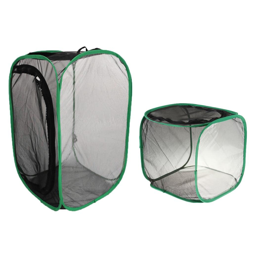 Buy UJEAVETTE® Collapsible Insect and Butterfly Habitat Net Terrarium ...