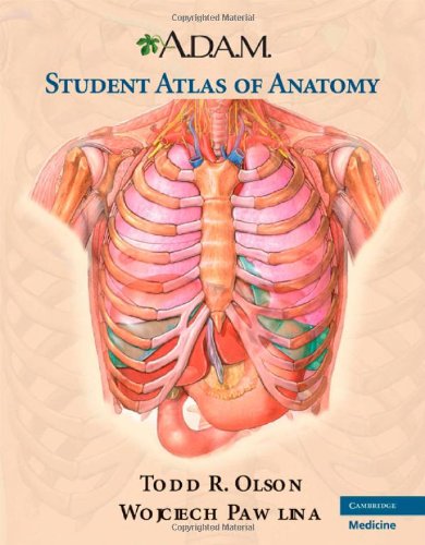 A.D.A.M. Student Atlas of Anatomy: Amazon.co.uk: Olson, Todd R ...