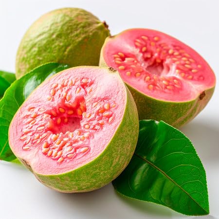 Jignishaseeds Red Guava Jamrukh Amrud Plant Seeds ( 100 Seed ) - Thai ...
