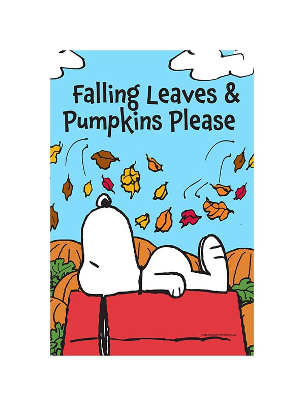 Amazon.com : Flagology.com, PEANUTS®, PEANUTS® Falling Leaves ...