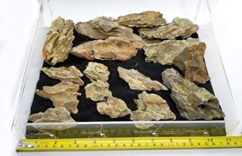 9 Best Safe Rocks For Freshwater Aquarium | Aqua Movement