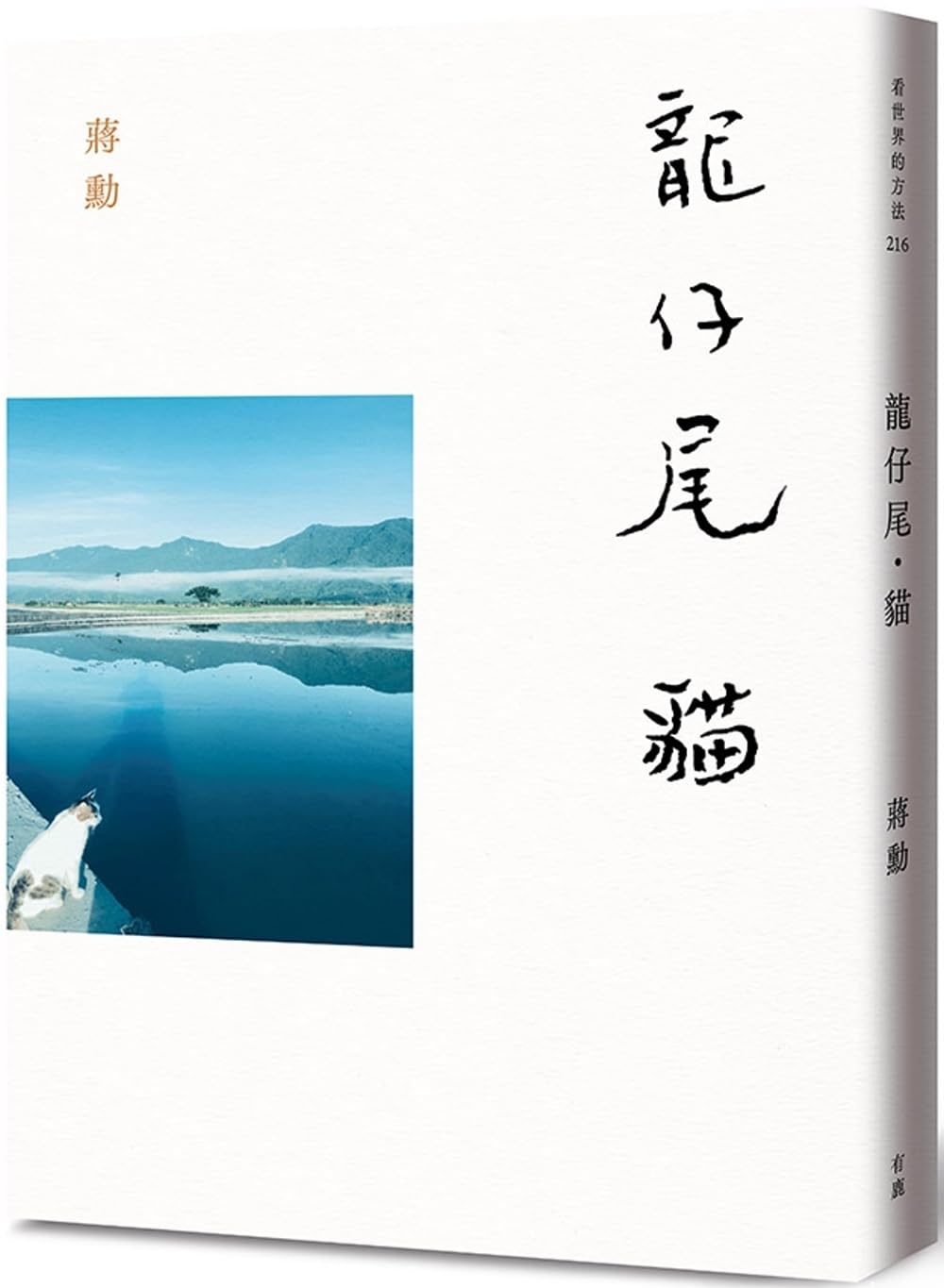Amazon.com: Dragon Tail-Cat (Chinese Edition): 9786269655236: Xun ...