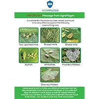 Amazon.com : AgroMagen, GrowSafe Bio-Pesticide, Organic Natural ...