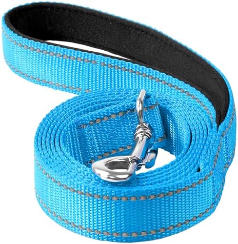 Amazon.com : Erbine Reflective Dog Leash 4ft Soft Padded Handle Nylon ...